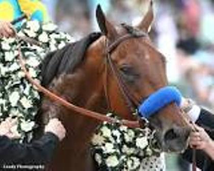 Congratulations to Former Client Ahmed Zayat on Triple Crown Win - Best ...
